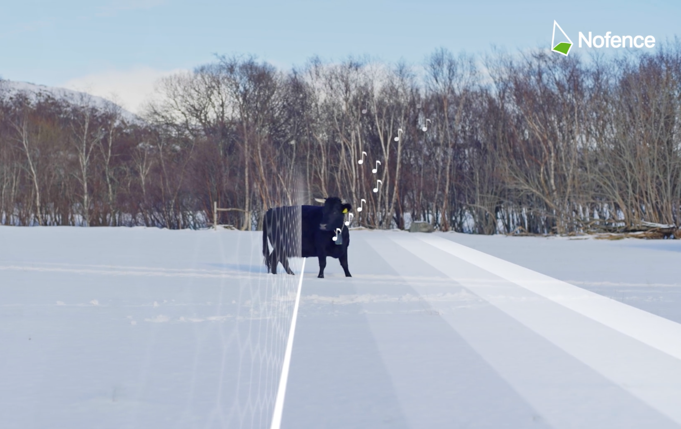 NoFence - Vinterbeite - Prosjekt av Fuglefjellet